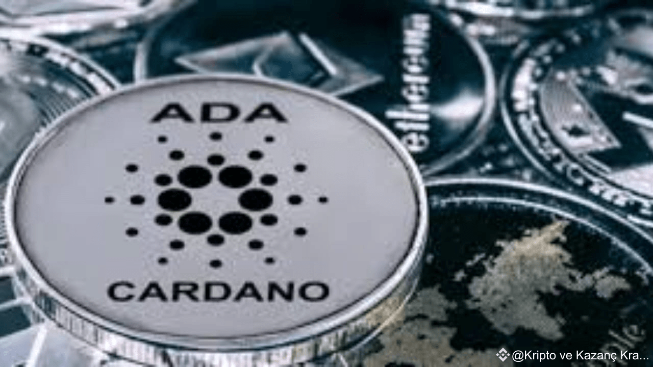 Has the Expected Rise Begun in Cardano and Avalanche? ADA and AVAX Coin Comments, Analysis ...