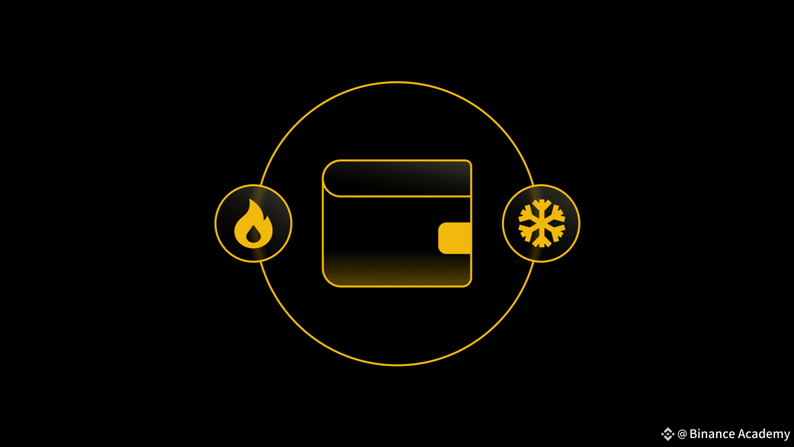 Hot vs. Cold Wallet: Which Crypto Wallet Should You Use? | Binance ...