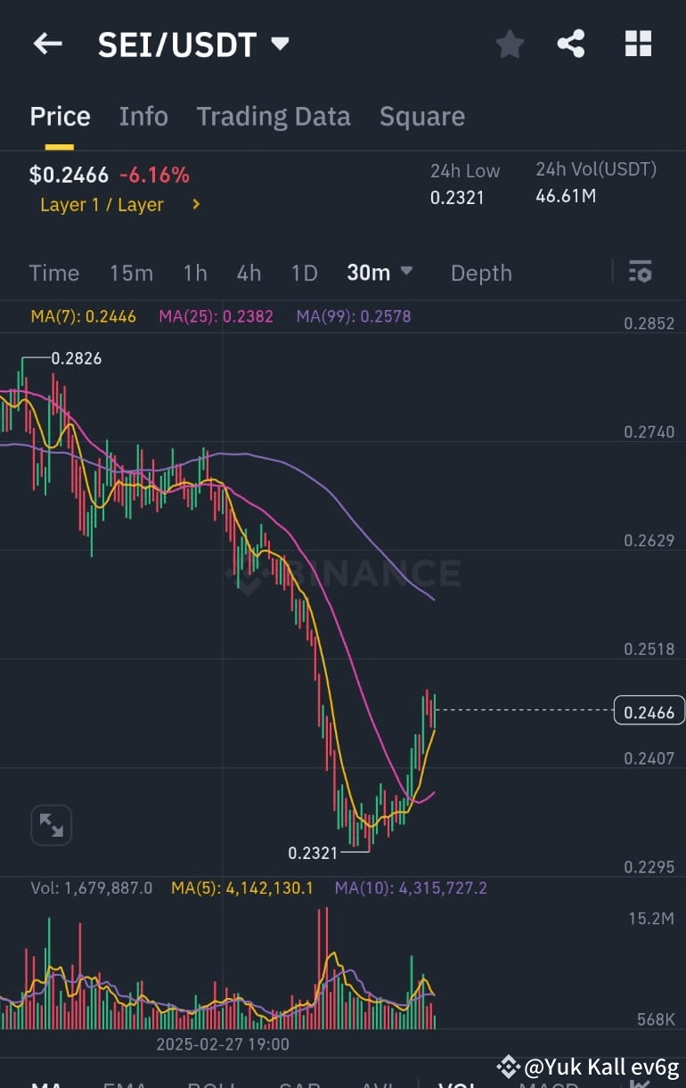 $SEI 🚀 🔥 SEI Token: The Ultimate Dip-Buying Opportunity! | Yuk Kall ...