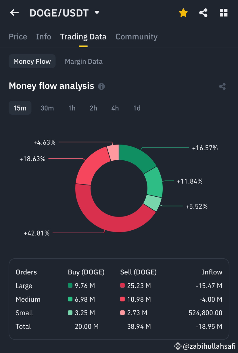 Doge Coin 📉 Bearish 🙈😳😤😭😩 | zabihullahsafi on Binance Square