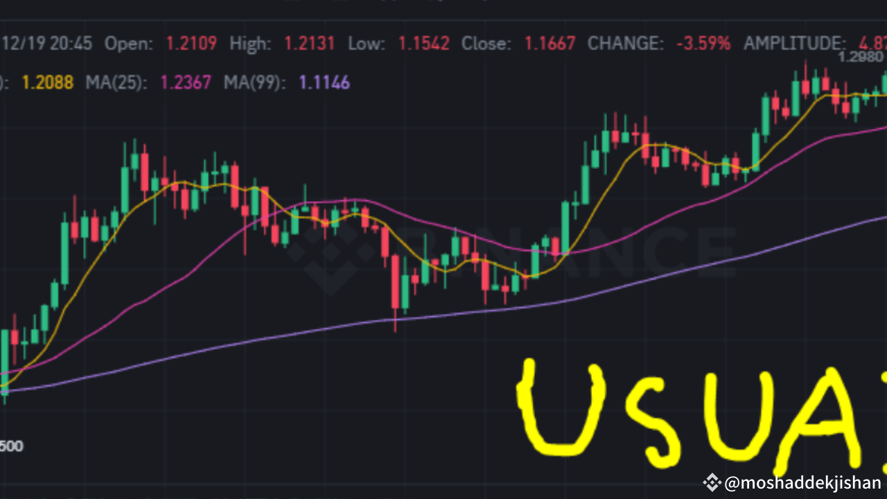 USUAL Coin Price Increase: +26.50! | moshaddekjishan on Binance Square