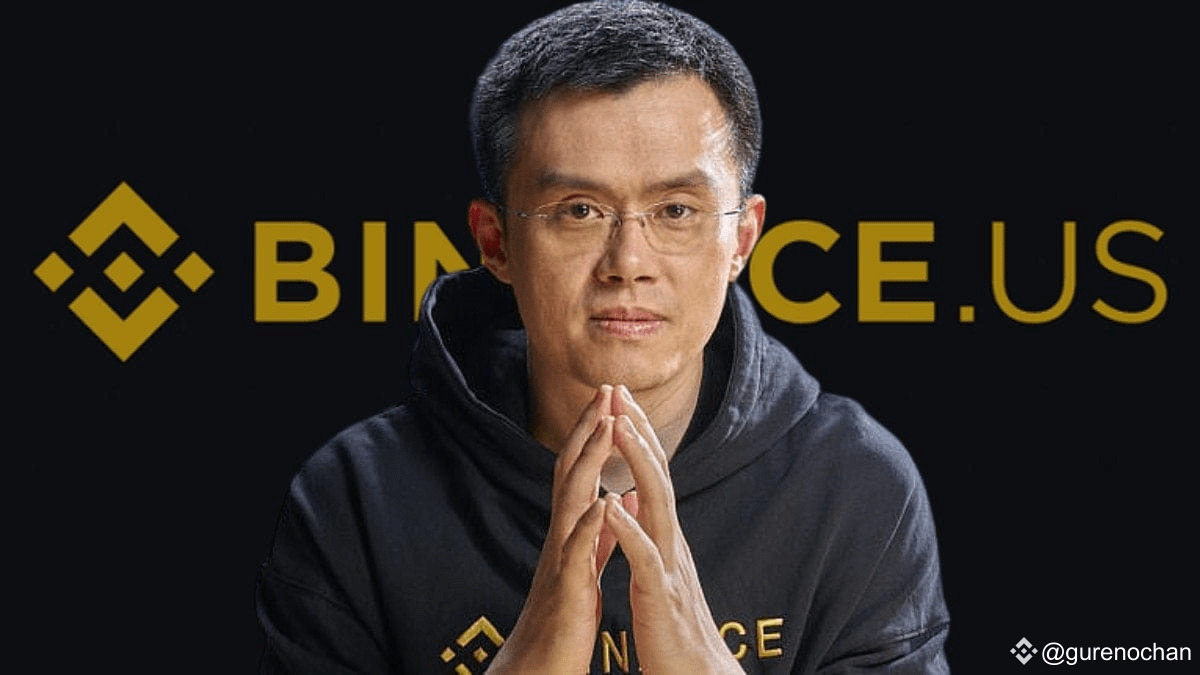 🔥 From Meme Coins to Major Player: BNB Chain Outpaces Solan ...