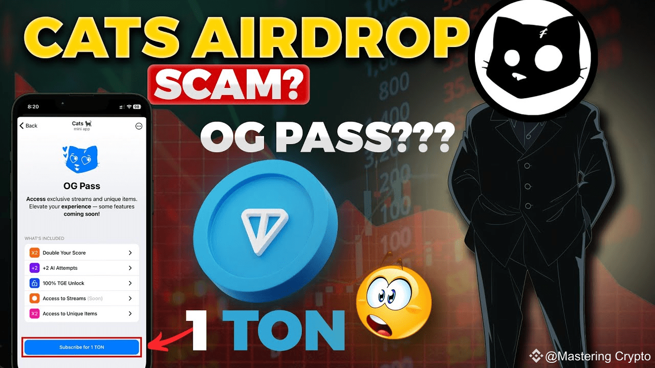 🔴🚨 Cats Airdrop: Scam or Legit? Uncovering the Truth 🫢 | Mastering ...