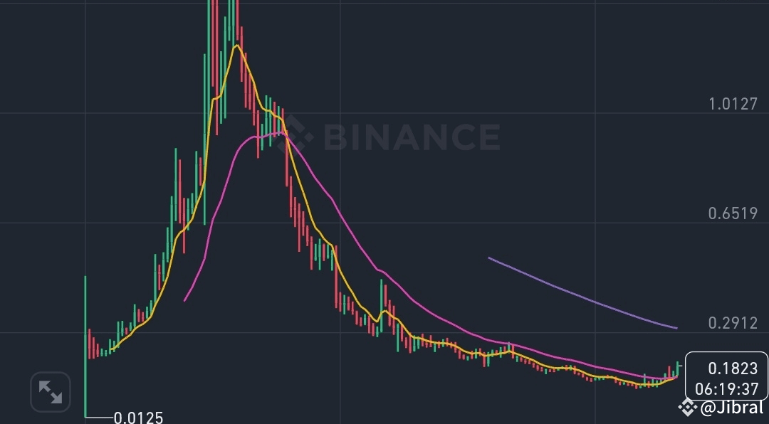 Decoding USUAL/USDT | Jibral on Binance Square