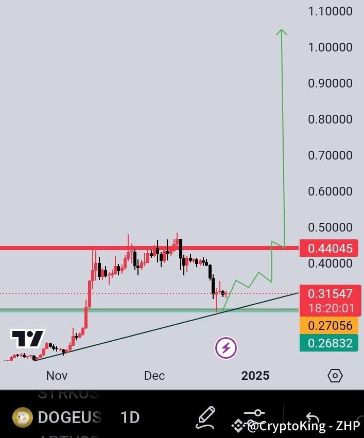 $DOGE - shows strong support at $0.2643, with resistance at | CryptoKing - ZHP on Binance Square