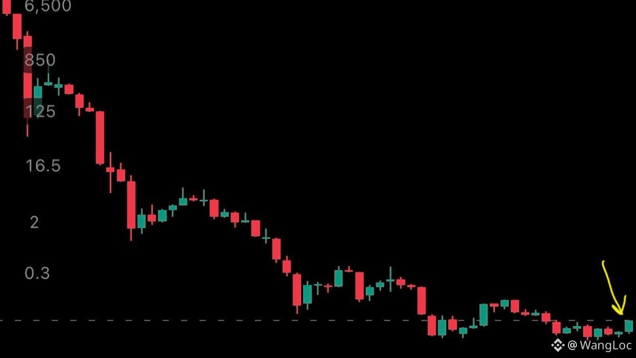 “Gold Is Ripping vs. Bitcoin” Here’s What That Really Means | WangLoc ...