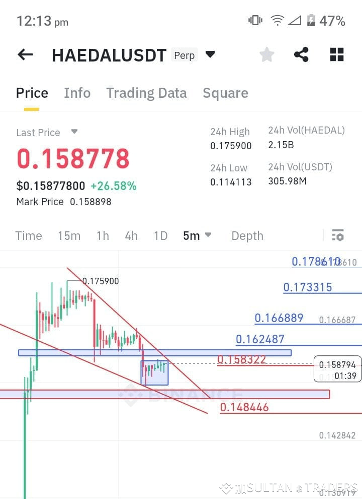 $HAEDAL buy this coin | SULTAN s TRADERS on Binance Square