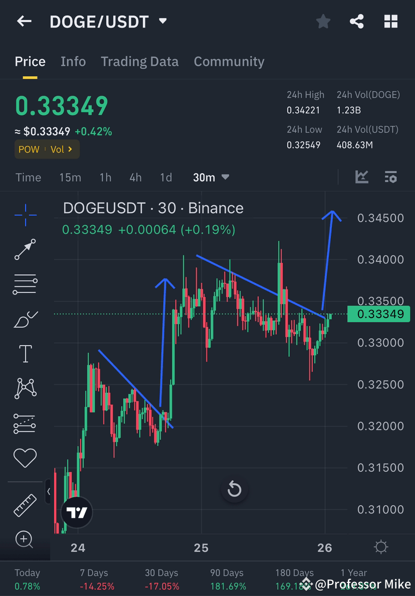 $DOGE /USDT Technical Outlook!🔥💯 Current Price: $0.33349 P | Professor Mike on Binance Square