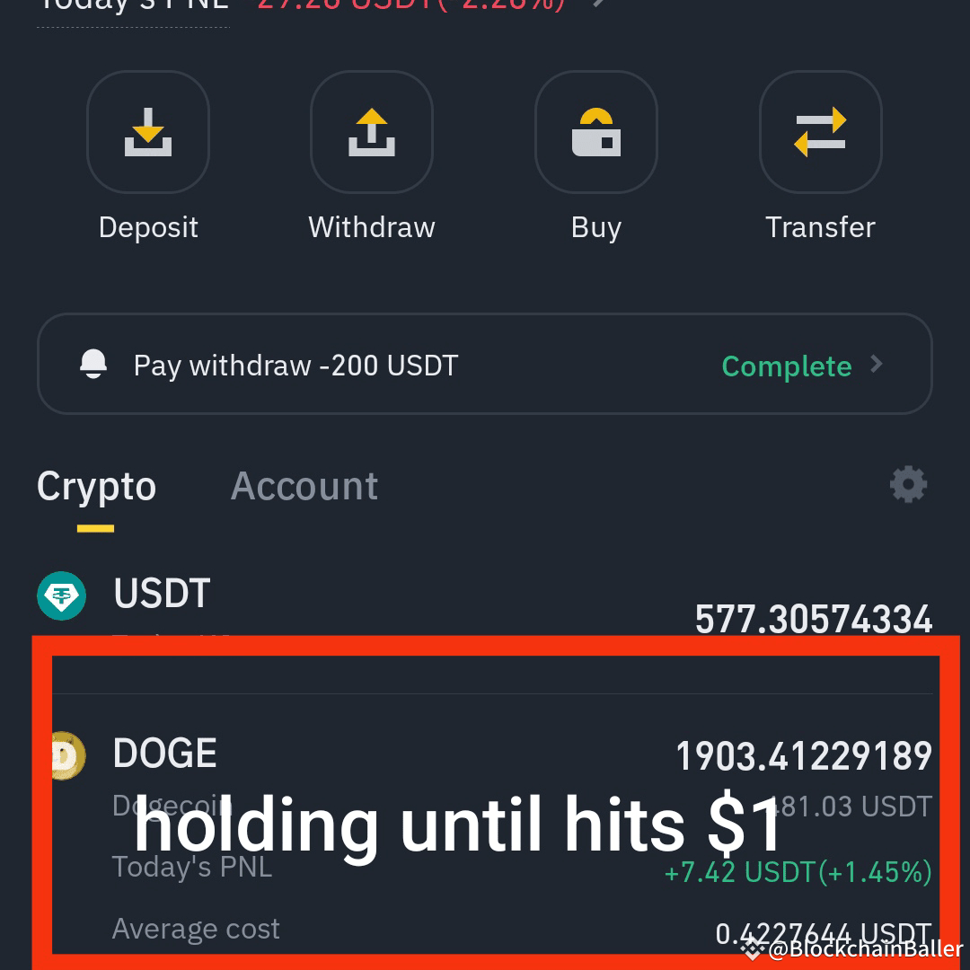 HOOOOOLD'IN $DOGE HYPE IS REAL WILL IT HIT $1 IN 2025 HYPE ...