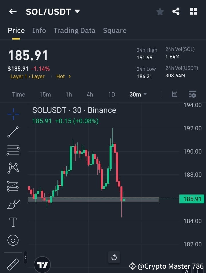$SOL /USDT Bull Run Alert! 🔥💯 Massive Upside Potential! 🚀 | Crypto Master 786 on Binance Square