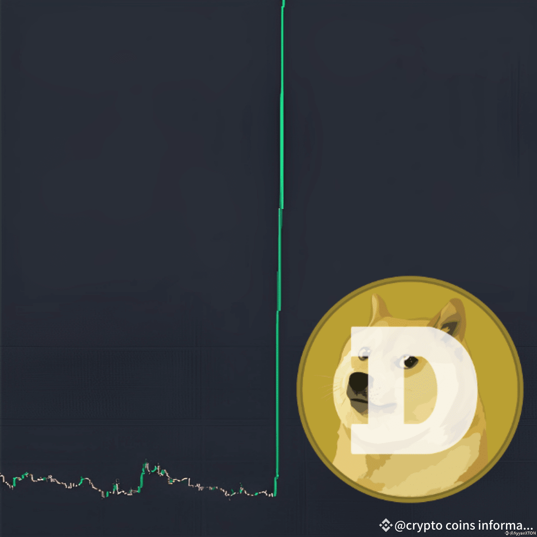 $DOGE Holding doge coins In 90 days it will touch the pri | crypto ...