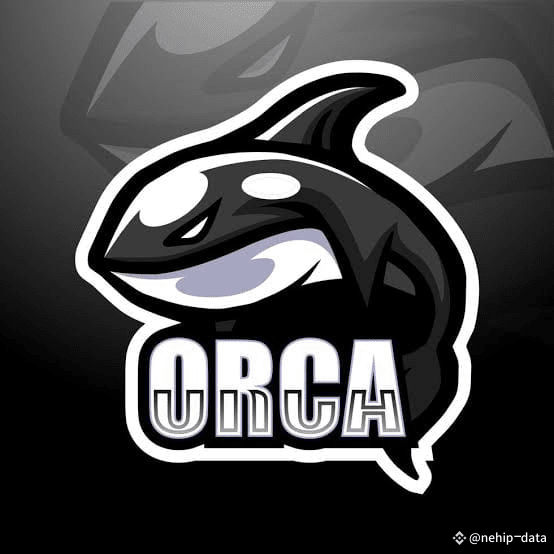 $ORCA Is About to Explode Again🚨 🔮 Future Prediction: $O | nehipodata ...