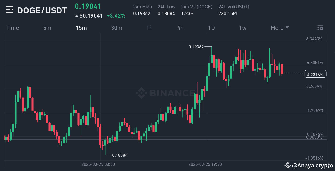 Dogecoin ($DOGE ) Market Update – March 25, 2025 The Dogeco | Anaya crypto on Binance Square