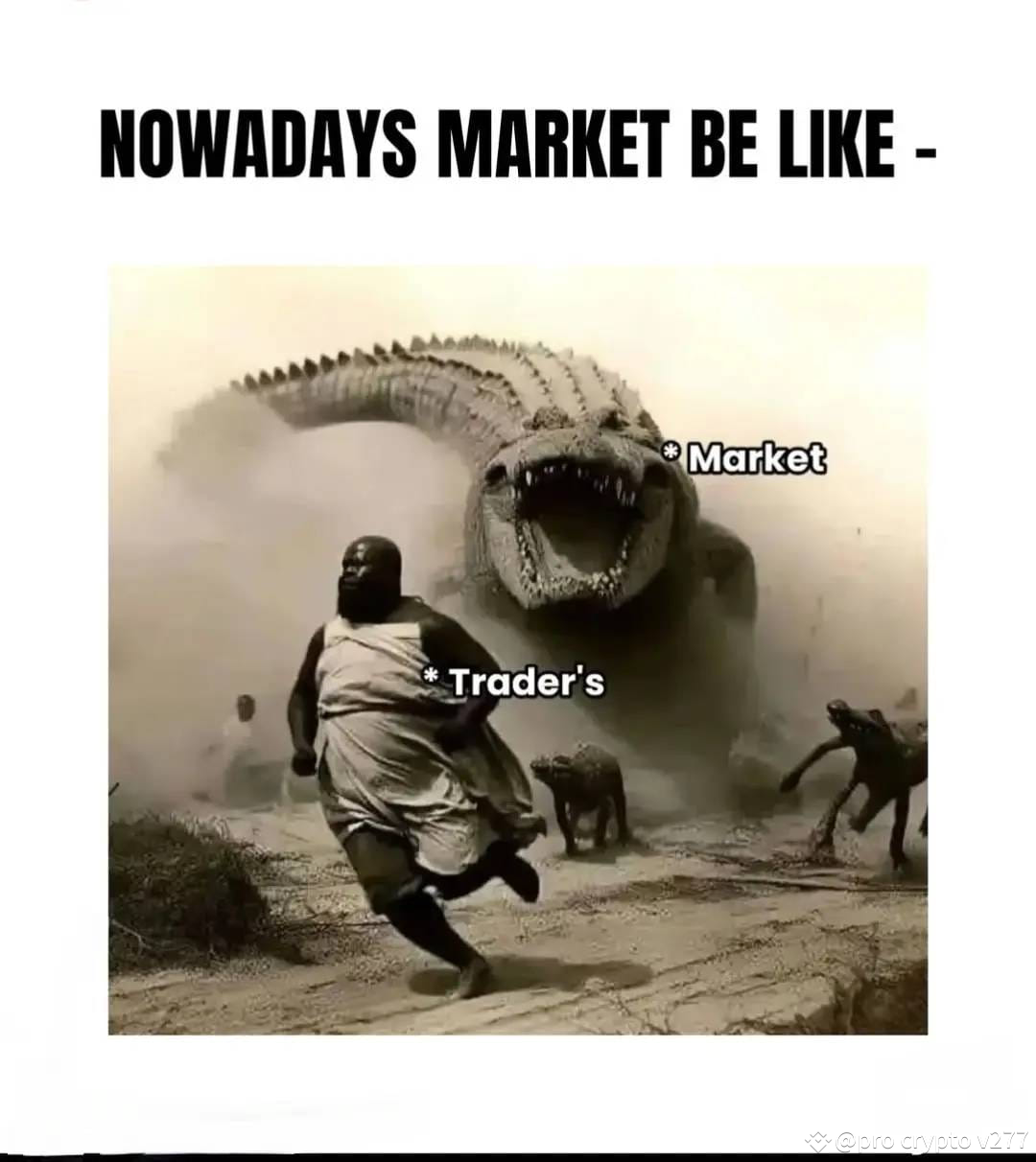 now days market hungry New traders are haunted 🙂now trader | pro crypto ...