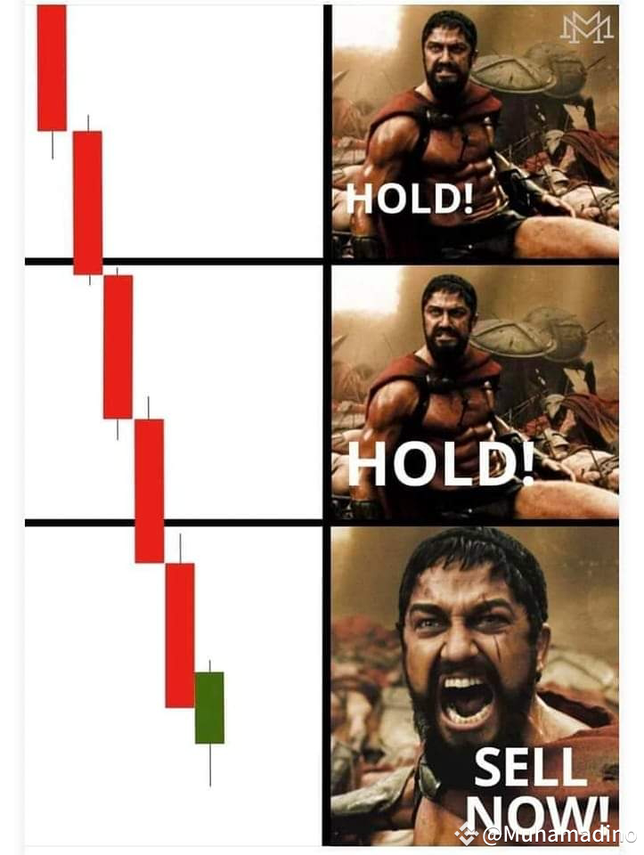 $AVAX now everyone sellll btc not going down alone | Muhamadino on ...