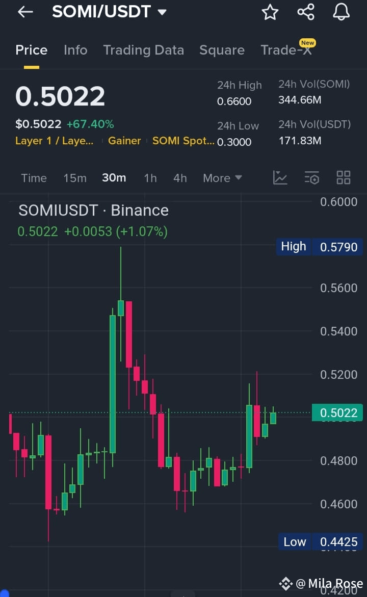 $SOMI /USDT Strong Bull Move Continue To Bounce!🔥🚀 $SOM | Mila Rose on ...