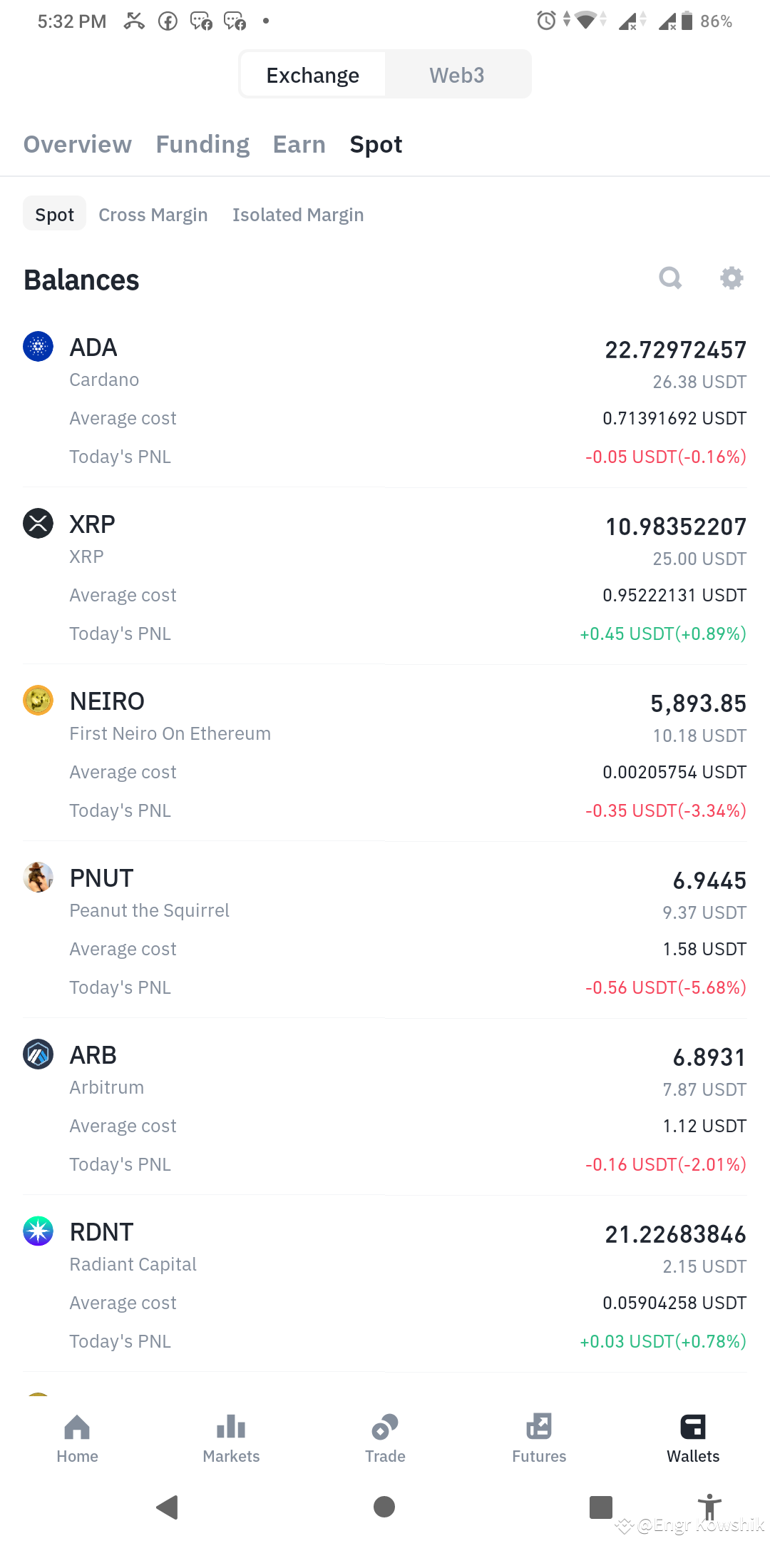 I have around 100 usdt assets. but already Im in 5 usdt loss | Engr JK ...