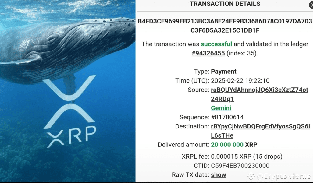 JUST IN🚨 Anonymous Whale Accumulated (20 Million $XRP Wort | Crypto-Home on Binance Square