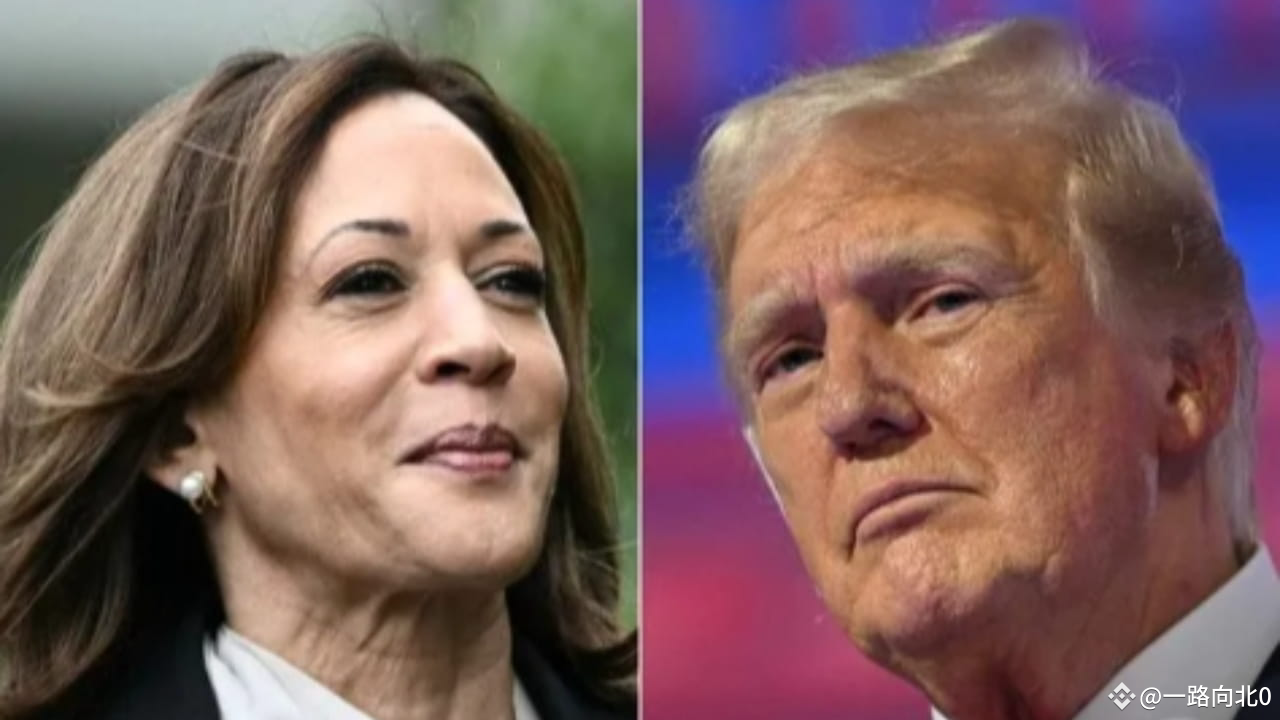 Trump was stabbed in the back, adding drama to the US election | 一路向北0 ...