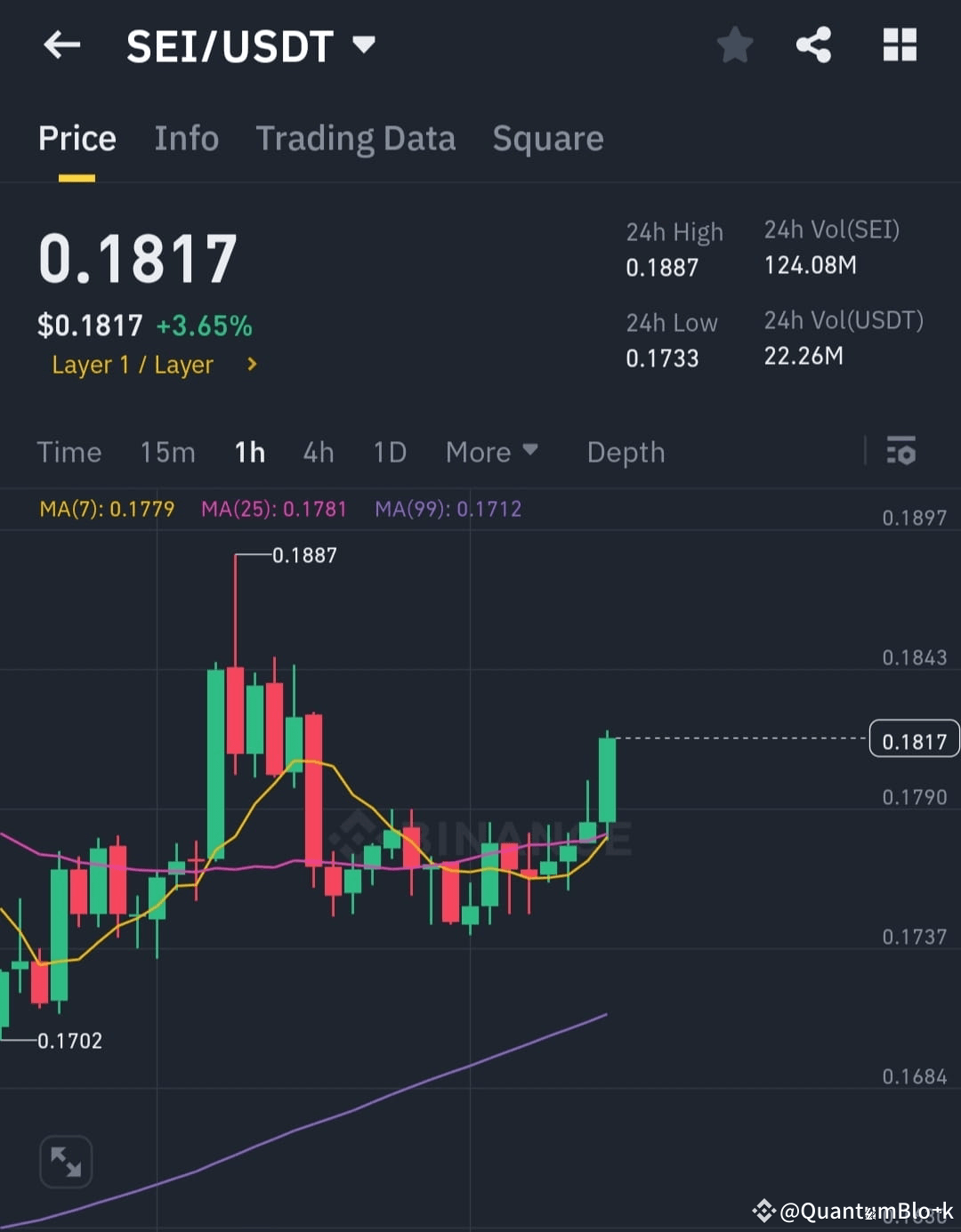 $SEI/USDT LONG TRADE SIGNAL BOUNCING BACK STRONG Entry Zone | QuantumBlock on Binance Square