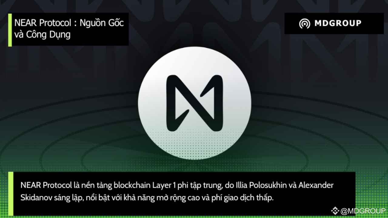 NEAR Protocol: High-performance Layer 1 blockchain with low transaction ...