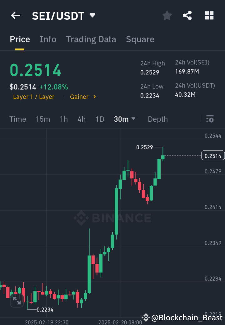 $SEI $SEI 🚀 SEI/USDT – Bullish Surge! | Blockchain_Beast on Binance Square
