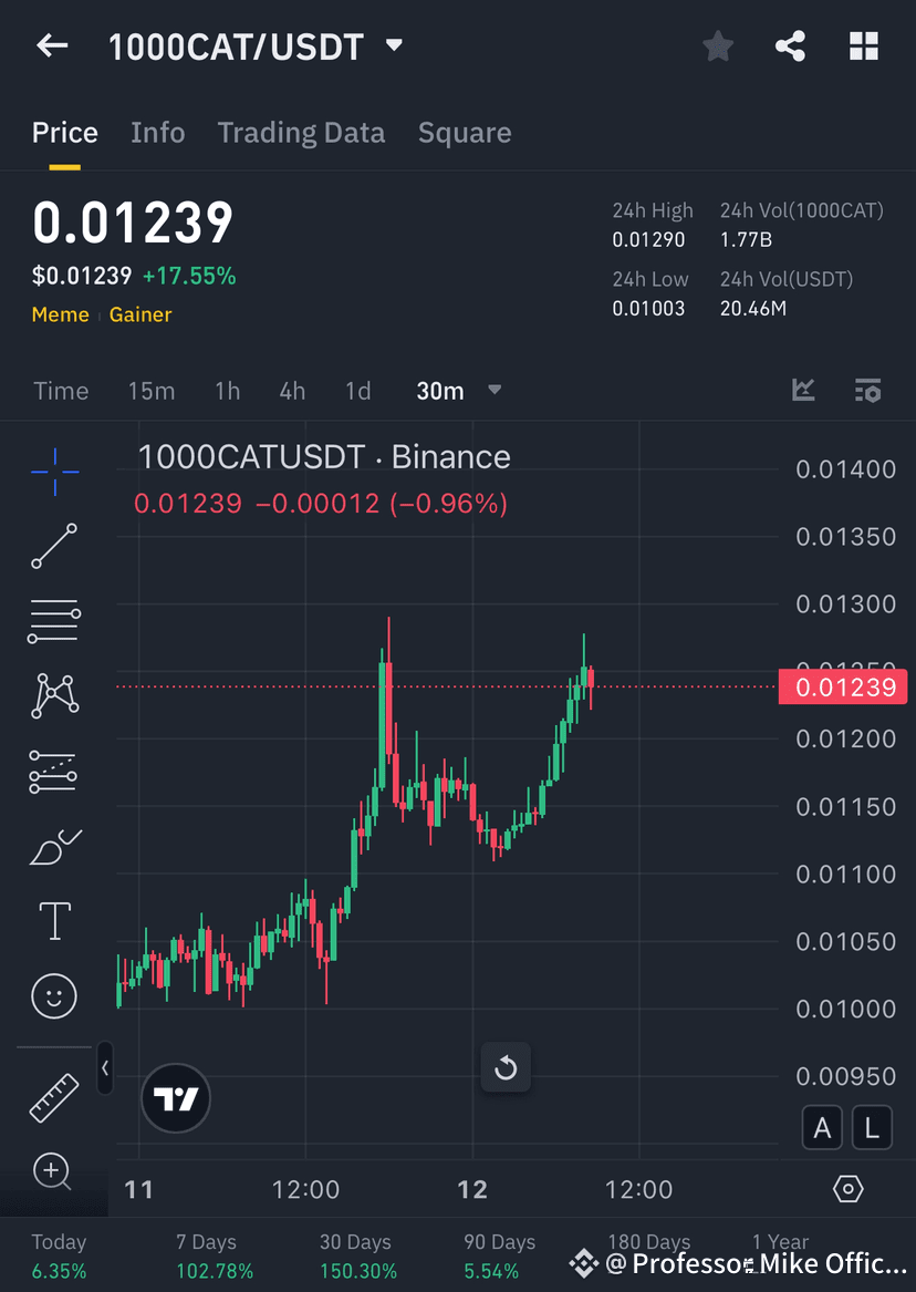 $1000CAT /USDT SHORT TRADE ENTRY SPOTTED — SELL PRESSURE BUI | Professor Mike Official on ...