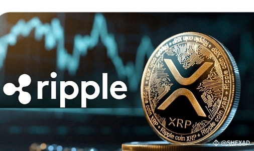 🔥 XRP investors, this is your warning! 🔥 A shocking revela | SHEXAD on Binance Square
