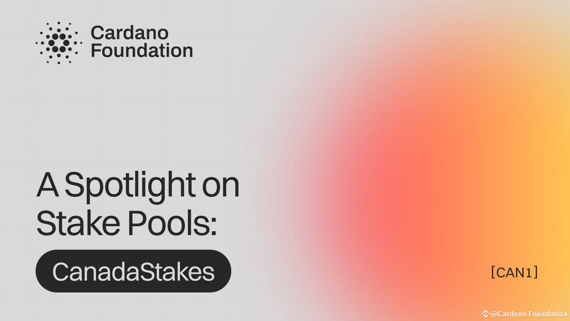 Stake pool operators (SPOs) are essential to Cardano’s resil | Cardano Foundation on Binance Square