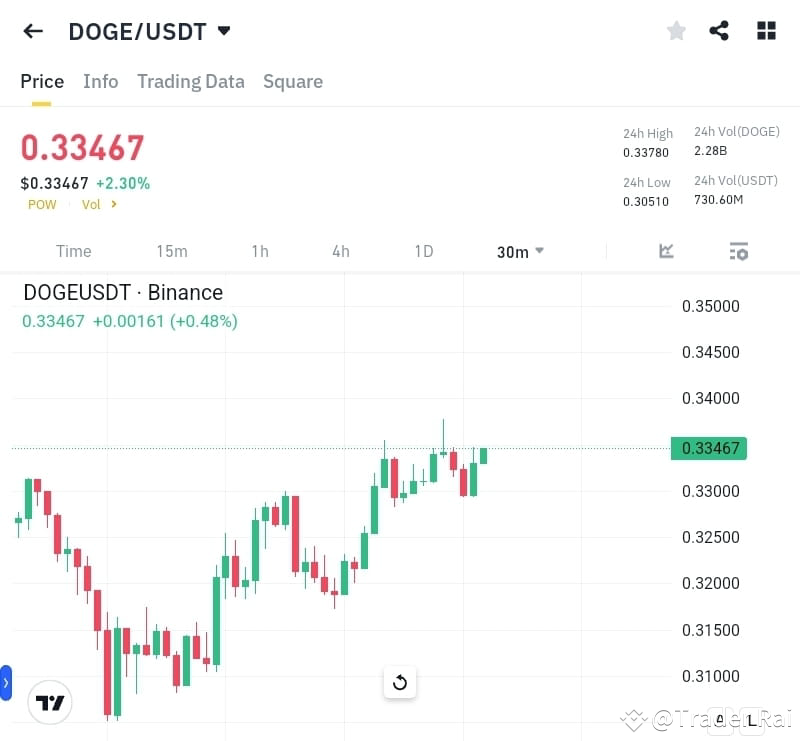 $DOGE /USDT Trading Signal - Bulls Eyeing New Highs? Entry | Trader Rai on Binance Square