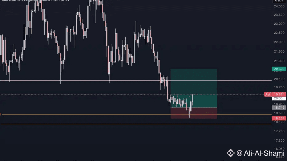 🌟 Banana Token: "New Long Setup on Deck!" | Ali Al-Shami on Binance Square