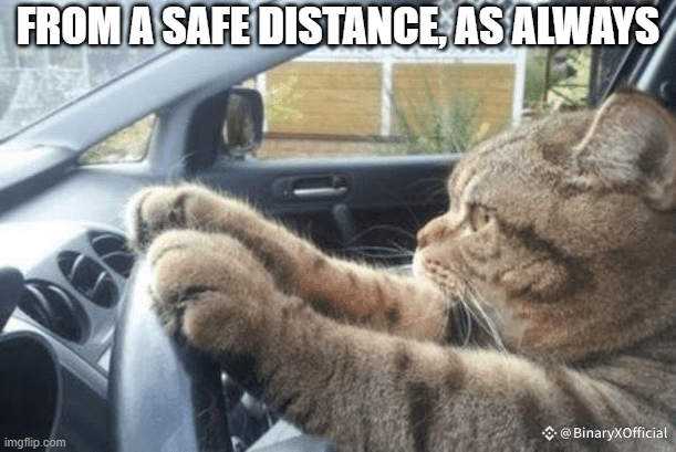 What's your quest IRL today? | BinaryXOfficial on Binance Square