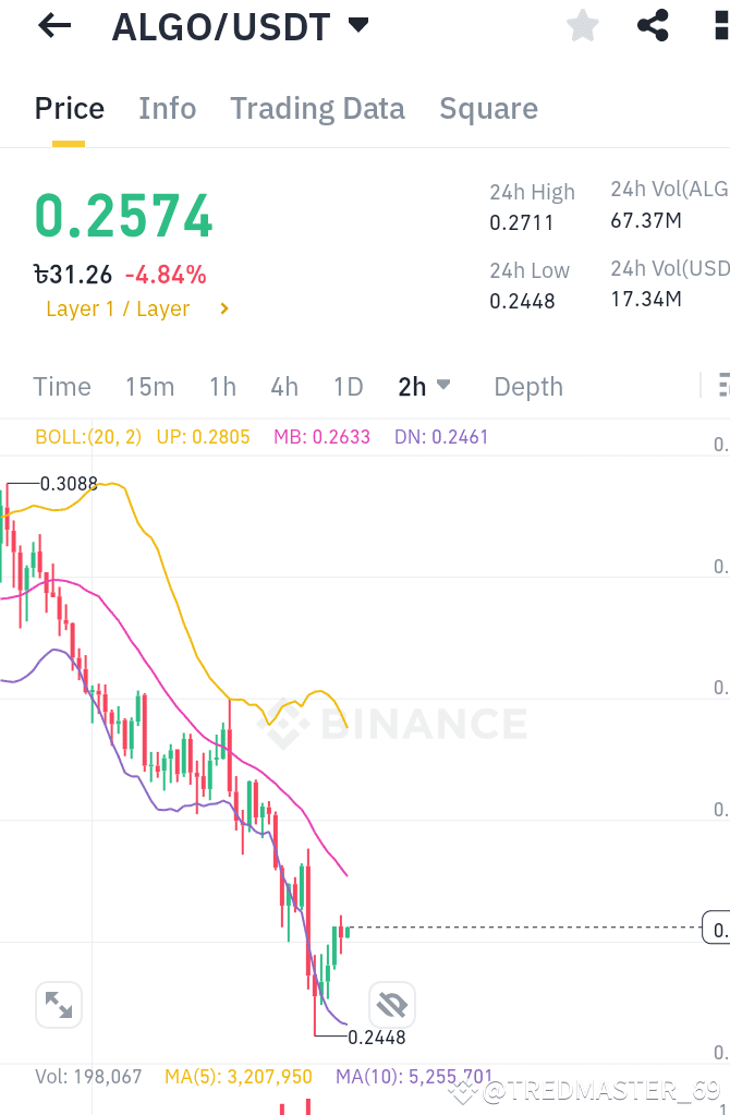 $ALGO 🚨 ALGO Token – Perfect Time to Buy! 🚨 🔥 Market Dip | TREDMASTER_69 on Binance Square