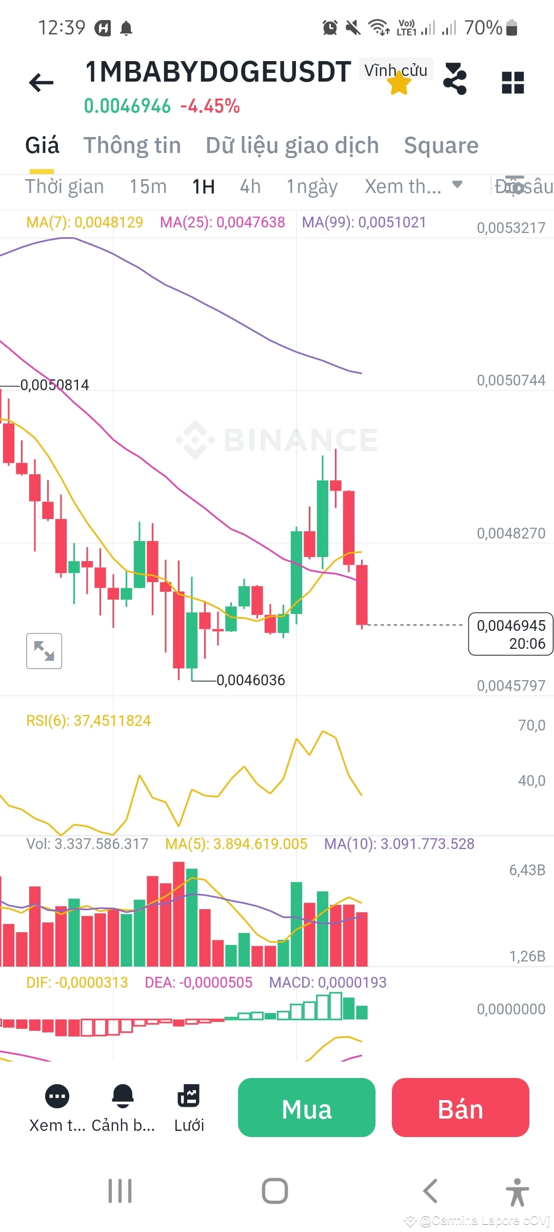 $1MBABYDOGE looks like an upside down pot. The dog has succ | Carmina ...