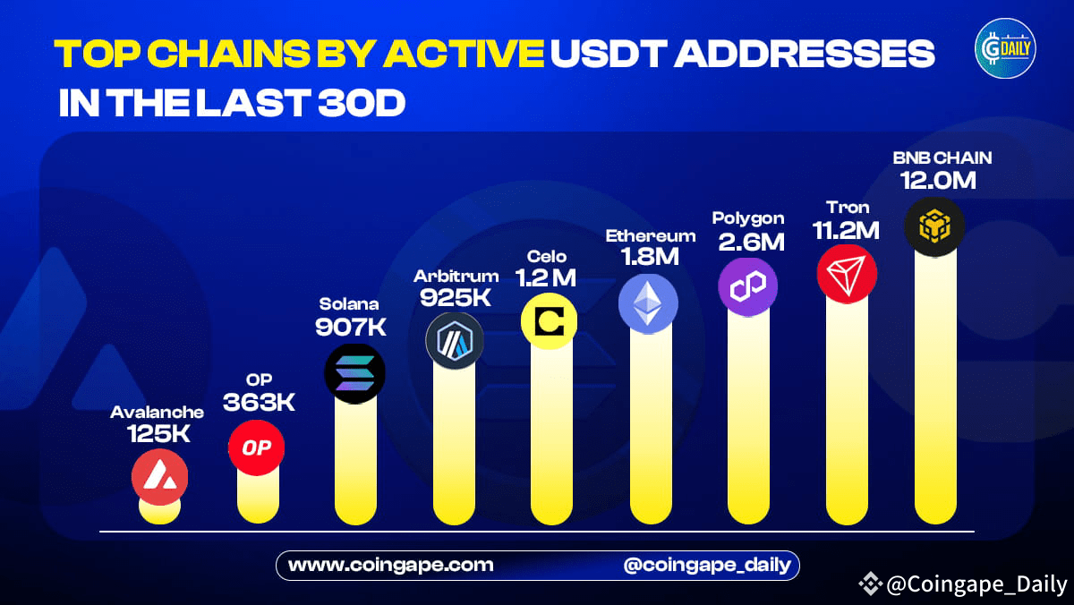 🚀 Top Chains Dominating USDT Activity This Month ️ BNBCha | Coingape ...