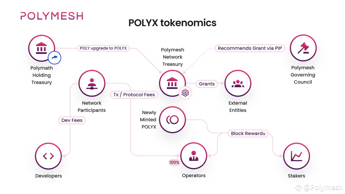 Think of $POLYX as the fuel of Polymesh: it's used across to | Polymesh ...