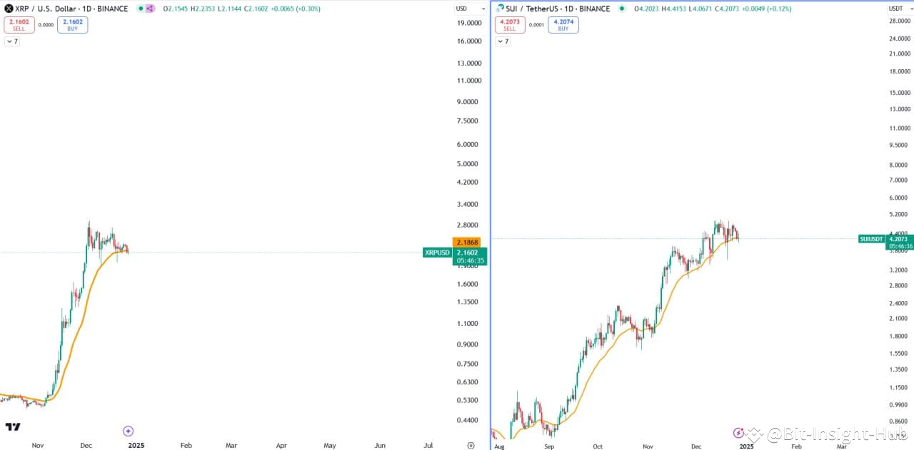 we suffered BTC sharp correction from 107k but few bigcaps a | Bit ...