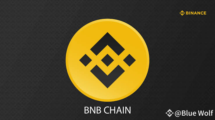 BNB (Binance Coin) is the cryptocurrency of the Binance exch | Blue ...