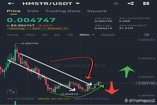 🚨 $HMSTR /USDT Alert 🚨 Current Price: $0.004747 Resistan | Cryptoguru12 on Binance Square
