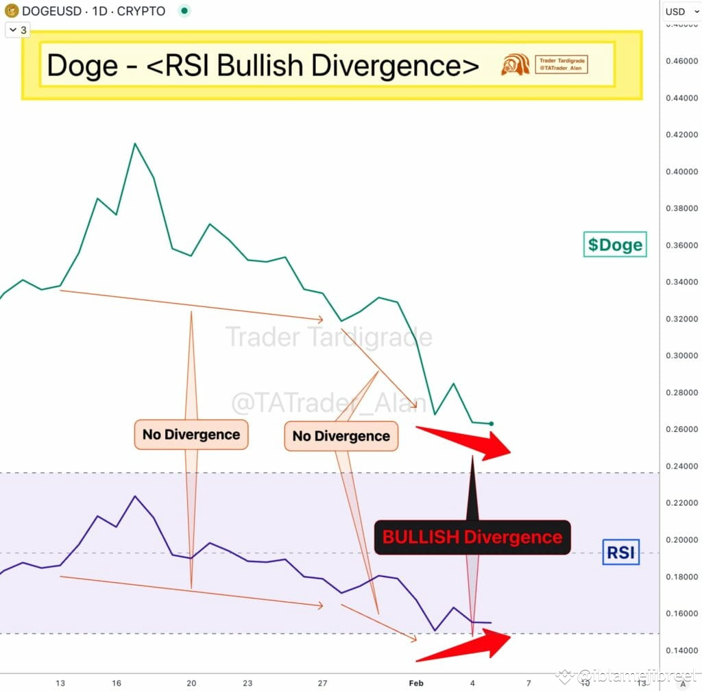 Dogecoin: RSI hits bullish divergence – What this means for ...