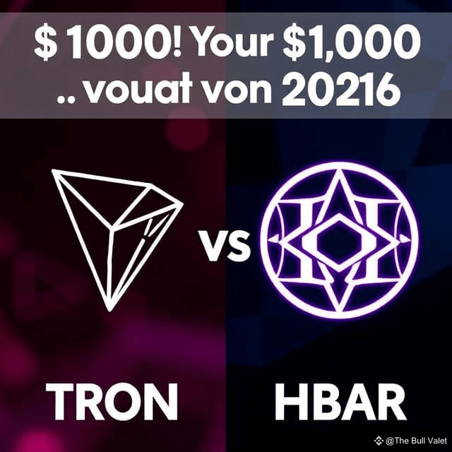 What Will Your $1,000 Investment Be Worth by December 2026? | The Bull Valet on Binance Square