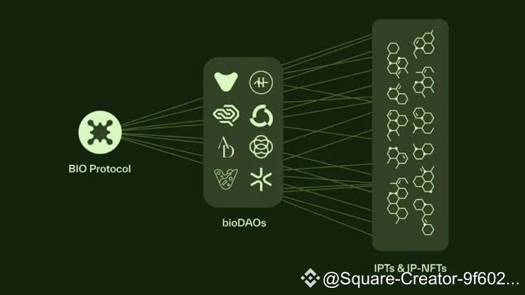 $BIO Coin Analysis on Binance 🌟 🔍 Launchpool Program Deta | كتيبة ...