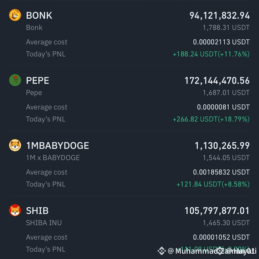 2025 Meme Coin Madness? Here’s How High SHIB, PEPE & BONK Co | Muhammad Zaman 01 on Binance Square