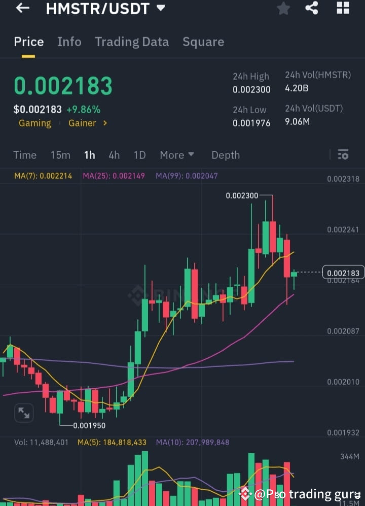 HMSTR🔥 /USDT technical analysis 🧐 📈 HMSTR/USDT Technical | Pro trading guru on Binance Square