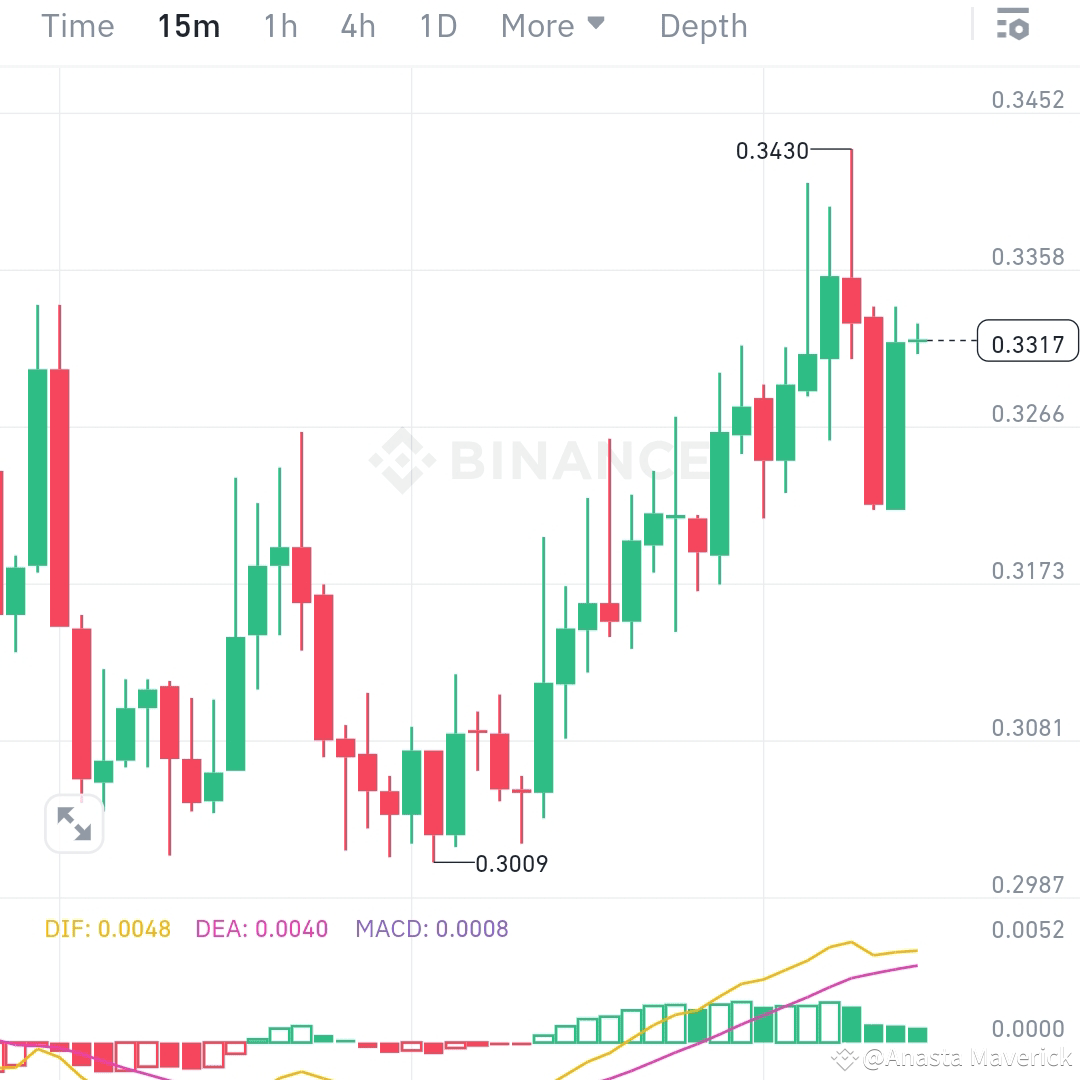 $BURGER /USDT ALERT: Strong Momentum Building, Watch Key Lev | Anasta Maverick on Binance Square