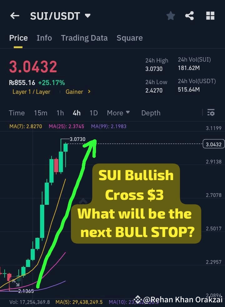 SUI Coin: Riding the Bullish Wave Beyond $3! 🚀*$SUI Take | Rehan Khan ...