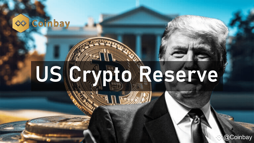 💵 Potential candidates for the US crypto reserve fund ↗️ P | Coinbay on ...