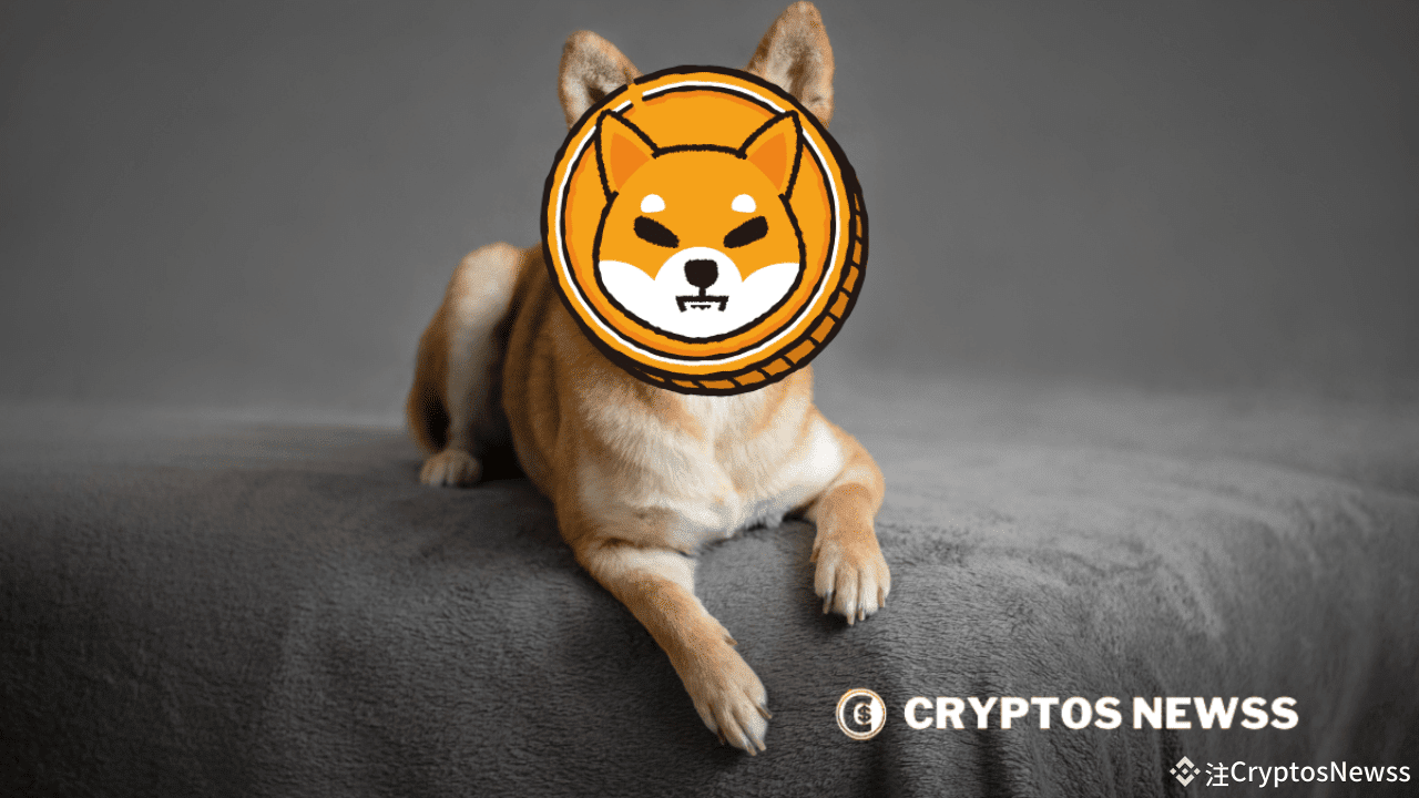 Shiba Inu Price Decline: What’s Behind SHIB’s Freefall and Can It Recover? | CryptosNewss on ...