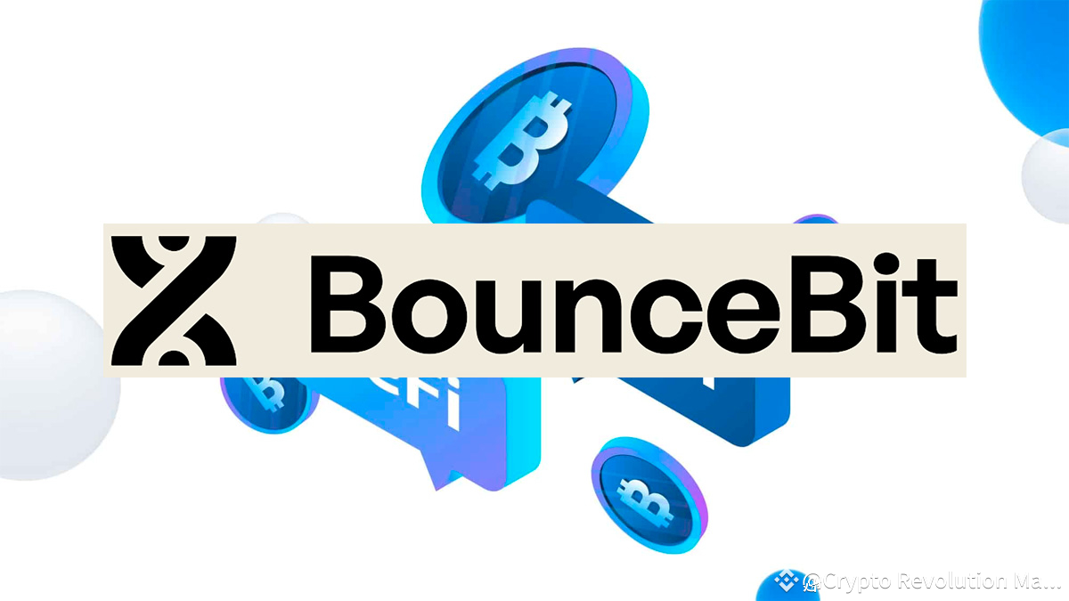 BounceBit positions itself as a CeDeFi (Centralized + Decent | Crypto Revolution Masters on ...