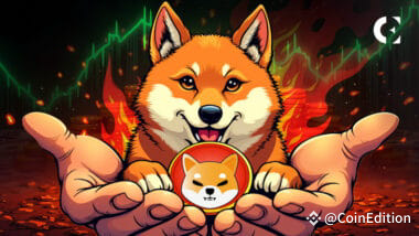Shiba Inu: Long-Term Strength Holds Steady Despite Near-Term Setbacks ...